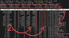 How to Check Memory Usage on Linux using the Terminal - Pi My Life Up