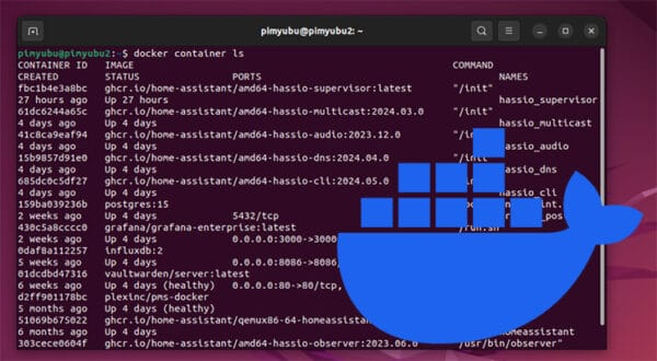 How to View the Logs of a Docker Container - Pi My Life Up
