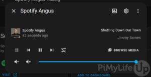 How to Set Up Spotify on Home Assistant - Pi My Life Up