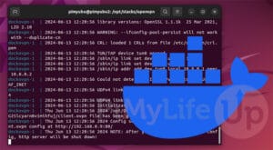 Running an OpenVPN VPN using Docker - Pi My Life Up