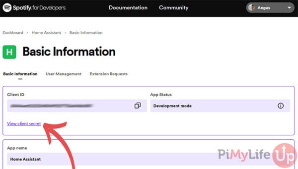 How to Set Up Spotify on Home Assistant - Pi My Life Up