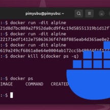 How to List Docker Containers - Pi My Life Up