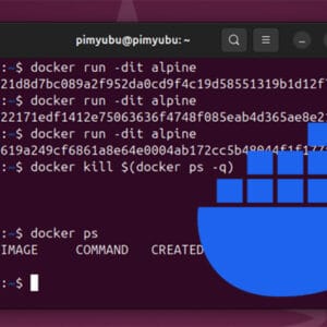 Setting up and Running InfluxDB using Docker - Pi My Life Up