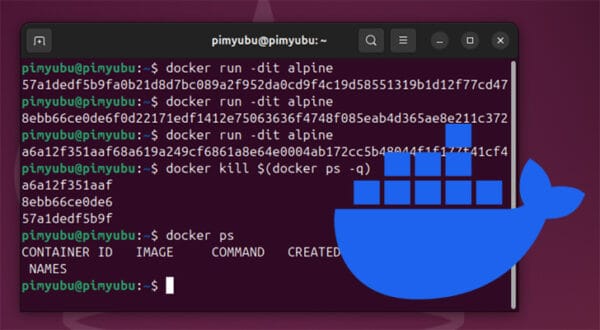 How to List Docker Containers - Pi My Life Up