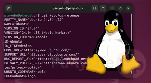 How to Check your Linux OS Version - Pi My Life Up