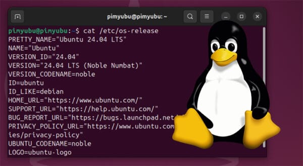 How To Check Memory Usage On Linux Using The Terminal Pi My Life Up
