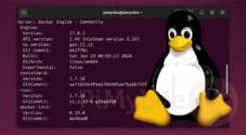 Simple Steps to Installing Docker on Linux - Pi My Life Up