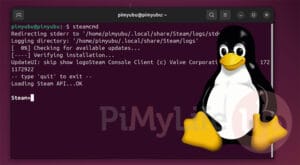 Installing SteamCMD on Linux - Pi My Life Up