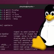 Find and Kill a Process Using a Port on Linux - Pi My Life Up