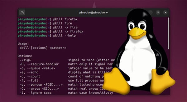 How to kill a process on Ubuntu - Pi My Life Up