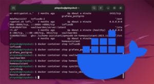 How to Restart a Docker Container - Pi My Life Up