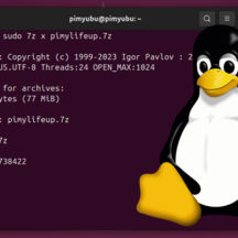 Extracting and Opening RAR Files on Linux - Pi My Life Up