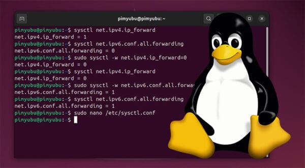 Setting up Dockge on Linux - Pi My Life Up