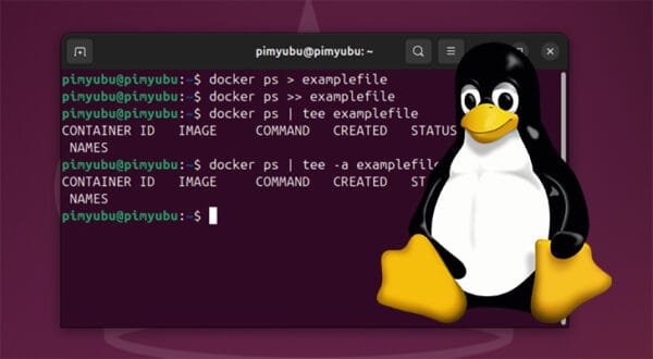 How To Enable Or Disable Ip Forwarding On Linux Pi My Life Up