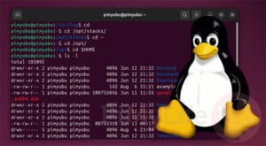 Change to the Home Directory with the cd command on Linux - Pi My Life Up