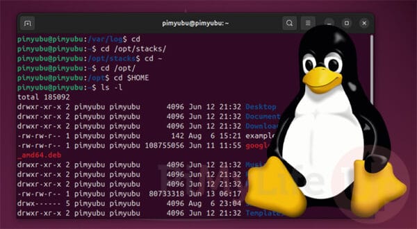Change to the Home Directory with the cd command on Linux - Pi My Life Up
