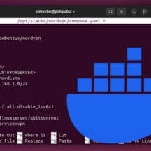 How to Run Plex within a Docker Container - Pi My Life Up