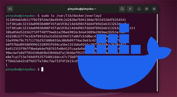 Simple Steps To Installing Docker On Linux Pi My Life Up 9217