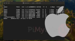 How to Kill a Process on macOS - Pi My Life Up