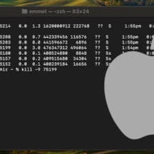 How to Find and Kill a Process Using a Specific Port on macOS - Pi My ...