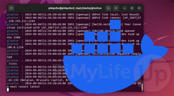 Route your Docker Containers through a VPN with Gluetun - Pi My Life Up