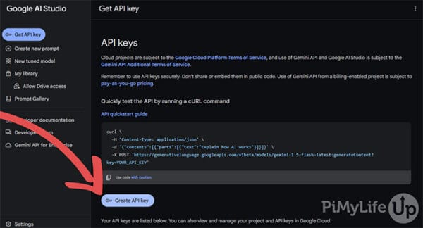Setting up an AI Image Analyzer on Home Assistant - Pi My Life Up