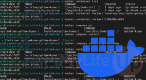How to Restart a Docker Container - Pi My Life Up