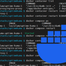 How to Kill All Running Docker Containers - Pi My Life Up