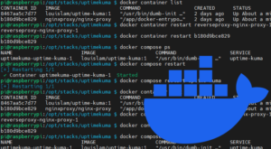 Stopping a Docker Container - Pi My Life Up