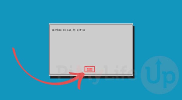 Switching Between Wayland and X11 on a Raspberry Pi - Pi My Life Up
