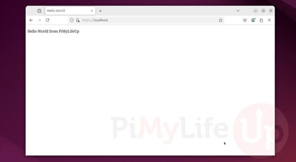 Setting up the Caddy Web Server on Ubuntu - Pi My Life Up