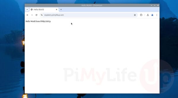 Running a Public Static Website from a Raspberry Pi - Pi My Life Up