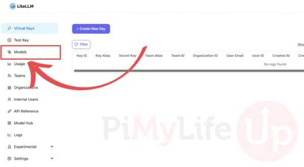 Setting Up An Ai Proxy On The Raspberry Pi With Litellm Pi My Life Up