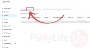 Setting up an AI Proxy on the Raspberry Pi with LiteLLM - Pi My Life Up