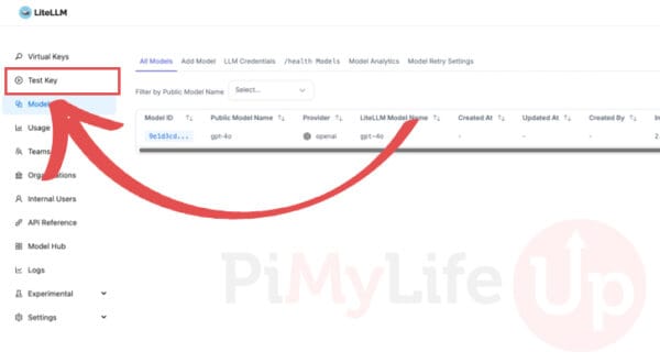 Setting up an AI Proxy on the Raspberry Pi with LiteLLM - Pi My Life Up