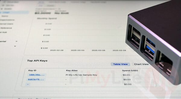 Setting up an AI Proxy on the Raspberry Pi with LiteLLM - Pi My Life Up