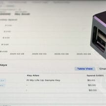 Running Ollama on the Raspberry Pi - Pi My Life Up
