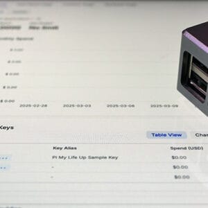 Running Ollama on the Raspberry Pi - Pi My Life Up