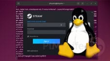 Easily Installing Steam on Linux - Pi My Life Up
