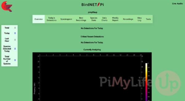 Classify Birds in Real Time on your Raspberry Pi with BirdNET-Pi - Pi My Life Up
