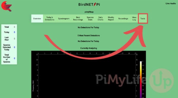 Classify Birds in Real Time on your Raspberry Pi with BirdNET-Pi - Pi ...