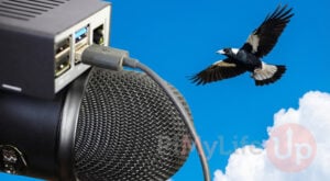 Classify Birds in Real Time on your Raspberry Pi with BirdNET-Pi - Pi ...